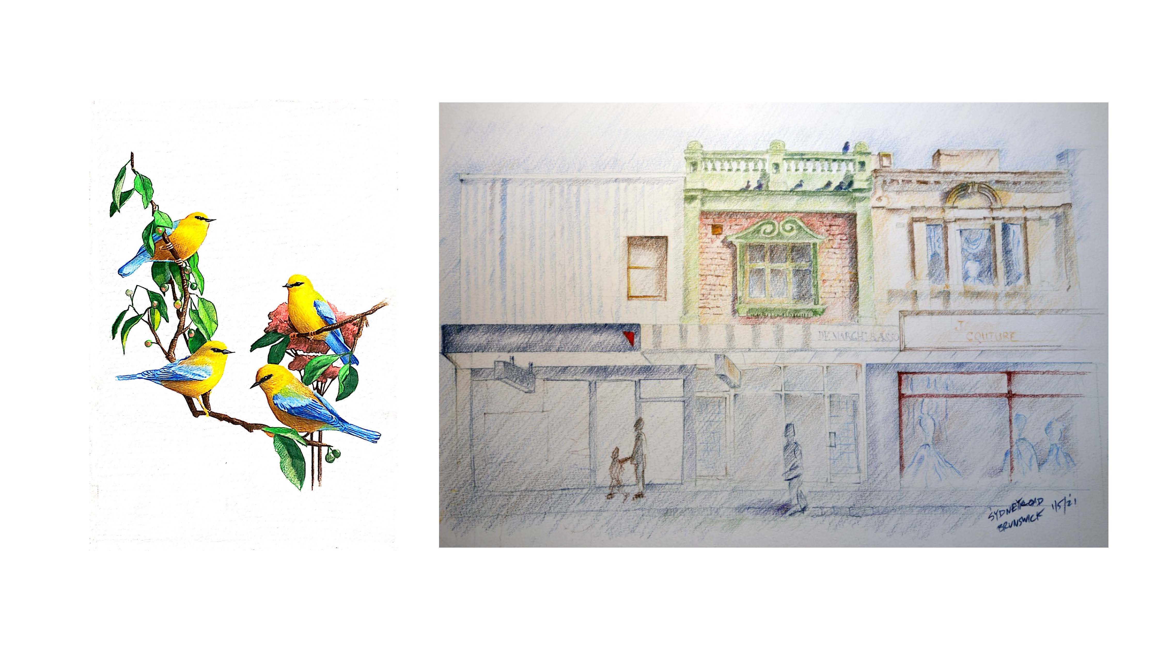 Week 7 Drawing with Coloured Pencil